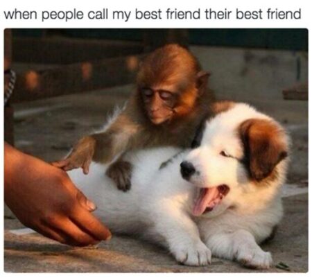 12 Things You'll Understand If You've Grown Up With Your Best Friend