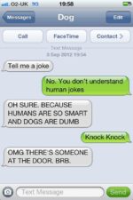 16 Of The Most Hilarious 'Texts From Dog' - Part 1