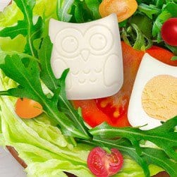 Owl Boiled Egg Mold