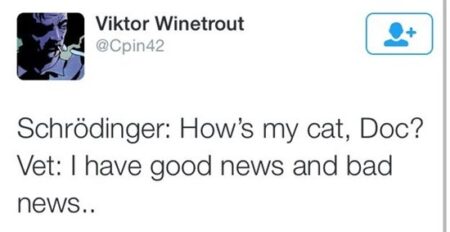 15 Jokes Which Are Smart And Stupid At The Same Time