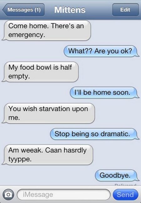 16 Hilarious Texts Loaded With 'Cat-titude' - Part 2