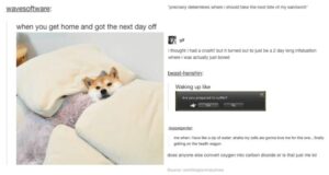 14 Times 'Tumblr' Pretty Much Described Your Life