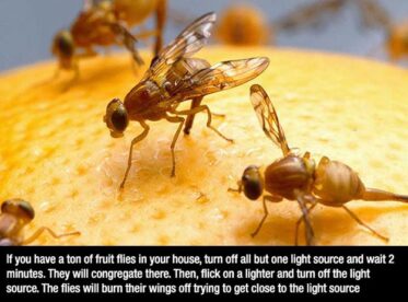 13 Random Life Tips That You'll Actually Find Useful