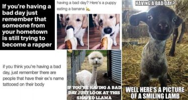 13 Must See Images If You're Having A Bad Day