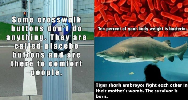 14 Awesome Facts That You Might Not Know - Part 1