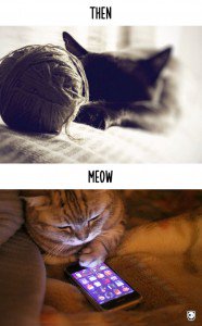 13 Examples Of How Technology Has Changed Cats' Lives
