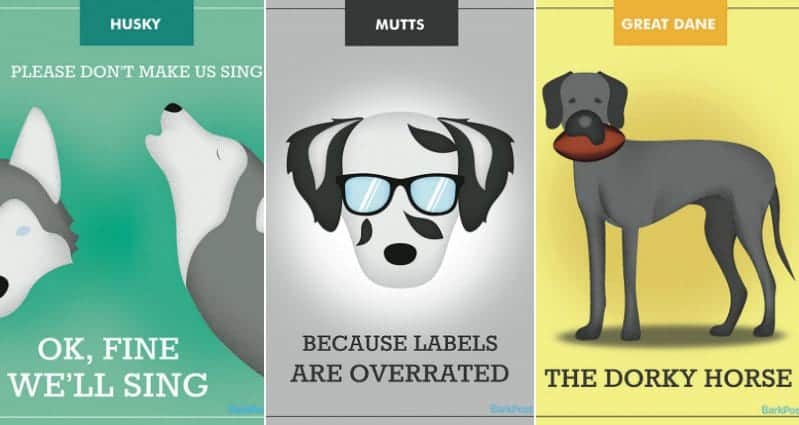 12 Honest And Hilarious Taglines For Dog Breeds