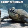 40 Funny Animal Names That Sound So Much Better