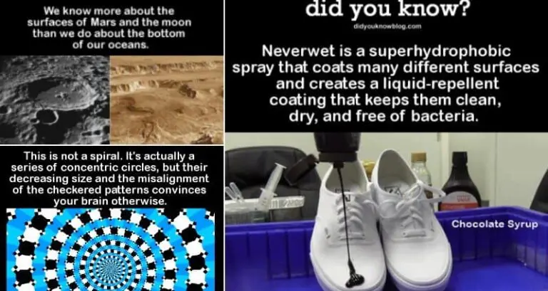 11 Awesome Science Facts You Probably Didn't Know