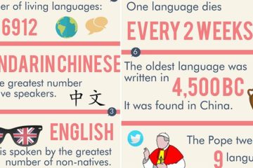 40 Funny Animal Names That Sound So Much Better