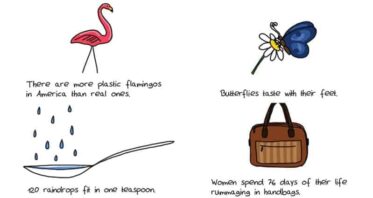 8 Interesting But Extremely Random Facts You Never Knew