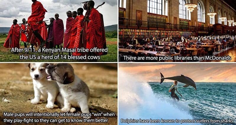 16 Random Facts To Feed Your Brain With