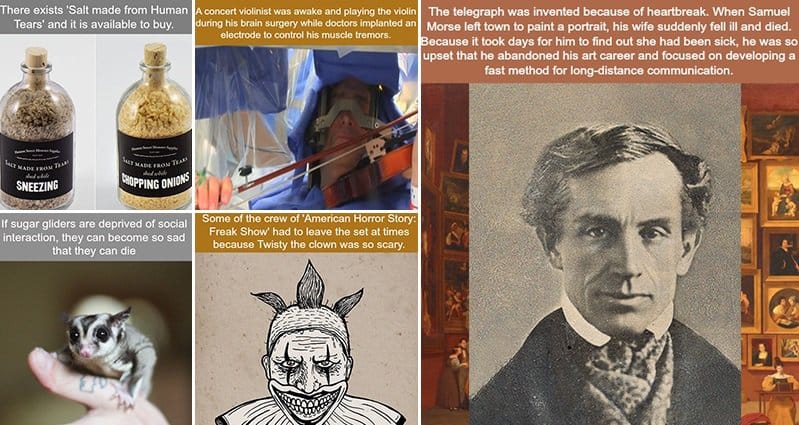 16 Unusual And Fascinating Facts You Probably Never Knew - Part 1