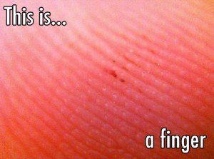 12 Weird Close-Up Photos That Will Blow Your Mind - Part 1