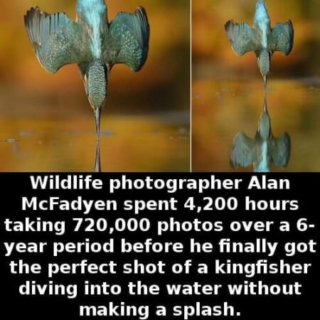 12 Cool Facts That Might Just Surprise You
