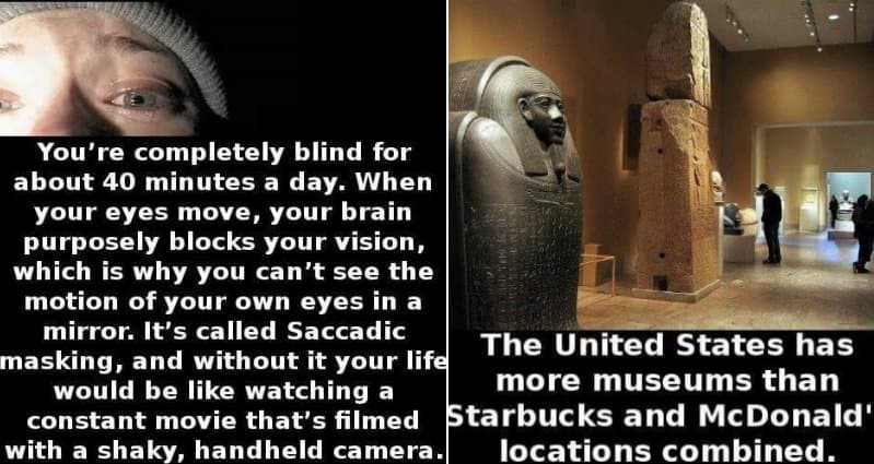Cool Facts About Life