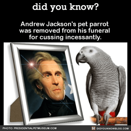 13 Weird And Funny Facts To Keep You Entertained