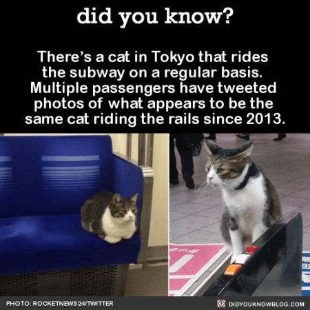 13 Weird And Funny Facts To Keep You Entertained