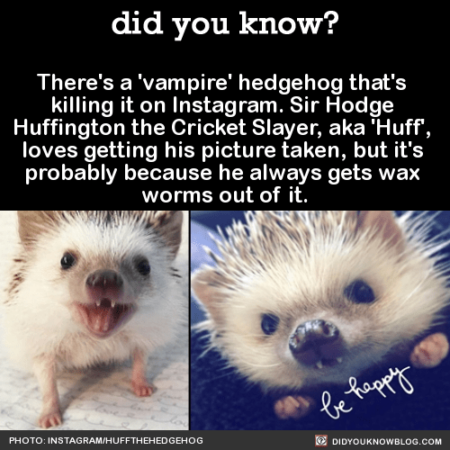 13 Weird And Funny Facts To Keep You Entertained