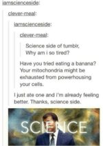 15 Times The Science Side Of Tumblr Explained Things For Us All