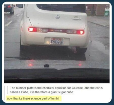 15 Times The Science Side Of Tumblr Explained Things For Us All