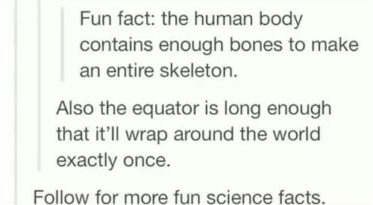 15 Times The Science Side Of Tumblr Explained Things For Us All