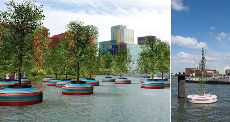 This Amazing Floating Forest Is To Be Brought To Life In Rotterdam