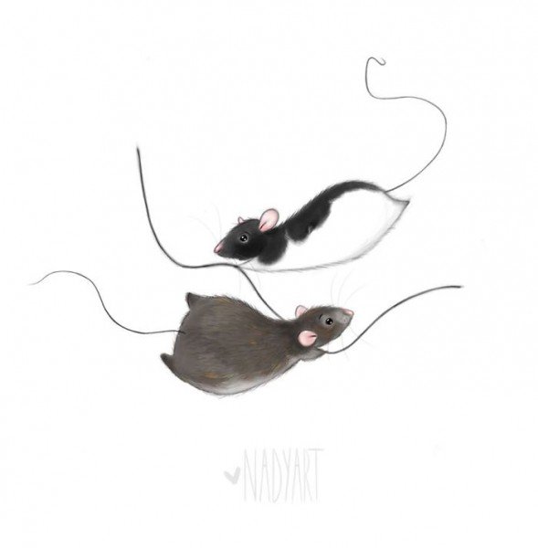 17 Adorable Illustrations That Prove Rats Can Be Cute