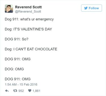 10 Emergency Calls Dogs Would Make If They Could Dial 911