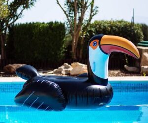 Giant Inflatable Toucan