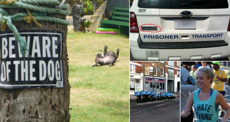 41 Images That Will Make You Say "Well, Isn't That Ironic"