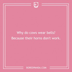 14 Two-Line Jokes That Will Brighten Up Your Day - Part 1