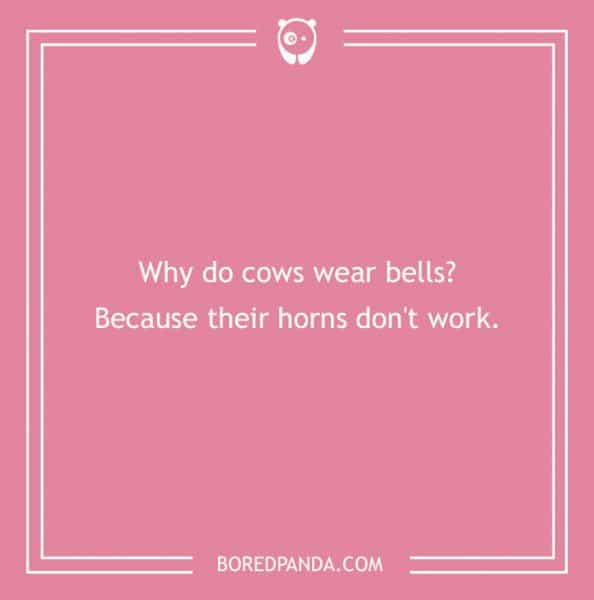 14 Two-Line Jokes That Will Brighten Up Your Day - Part 1