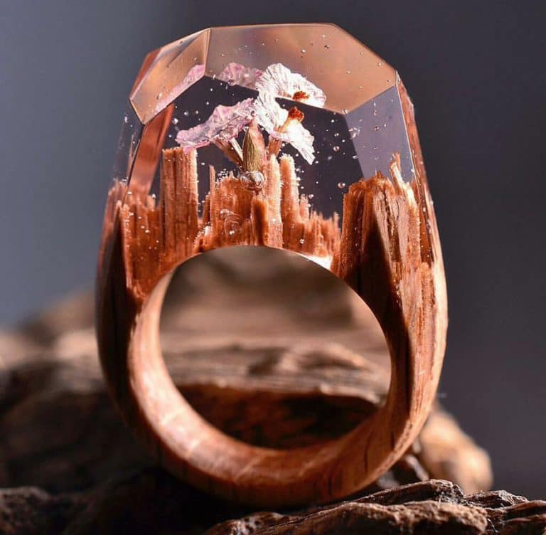 Beautiful Handmade Rings Reveal Stunning Miniature Worlds Inside