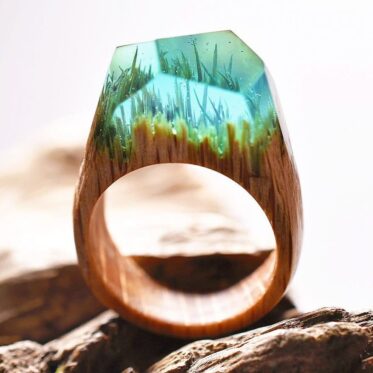 Beautiful Handmade Rings Reveal Stunning Miniature Worlds Inside