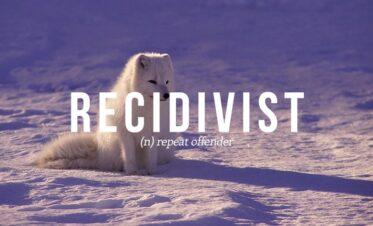 15 Underused Words That It's Time To Bring Back