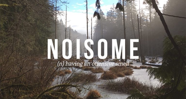 15 Underused Words That It's Time To Bring Back