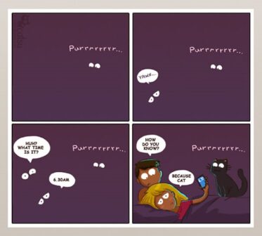 13 Comic Strips You'll Totally Relate To If You Live With A Cat