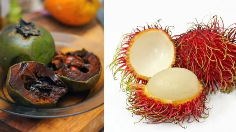 10 Weird And Wonderful Exotic Fruits You Need To Try