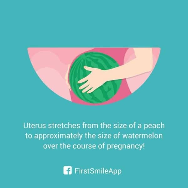 11 Weird Facts About Pregnancy That You Might Not Know