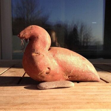 These Oddly Shaped Fruits And Vegetables Will Make You Do A Double Take