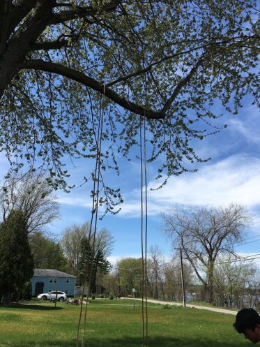 Greg Shares How He Built His Awesome Lounge Tree Swing Using Pallets