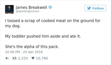 James Breakwell Is Back With Even More Hilarious Tweets Showing ...