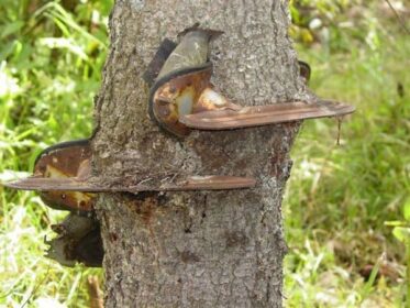 Unbelievable Stories Of People Finding Things They Thought They Lost ...