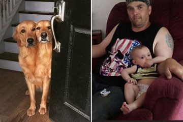 40 Funny Animal Names That Sound So Much Better