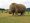 Amazing Giant Straw Animals Invade Japan's Fields After Rice Harvest