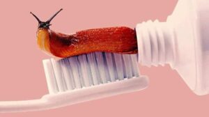 8 Major Differences Between Being Wise And Being Smart