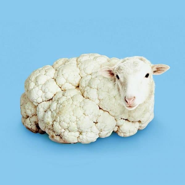 This Artist Combines Unexpected Objects To Make Mind Boggling Images