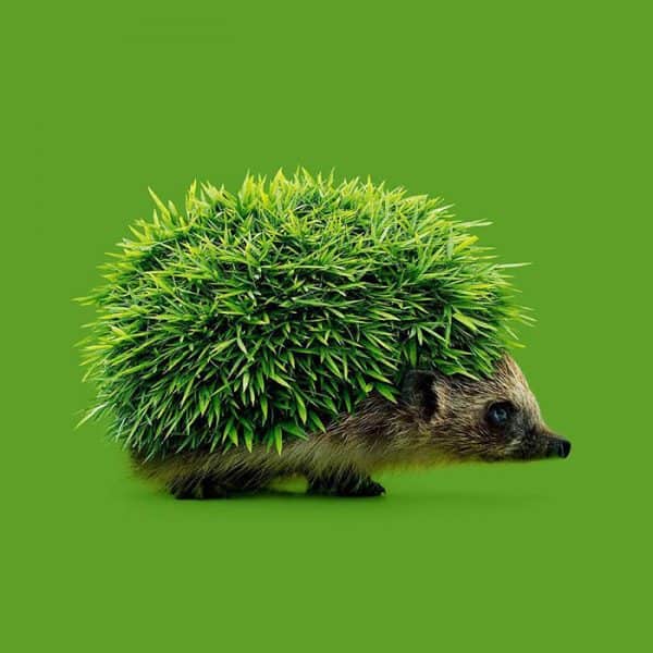 This Artist Combines Unexpected Objects To Make Mind Boggling Images