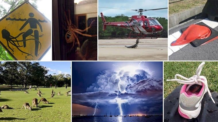 Creepy Awesome Inventions